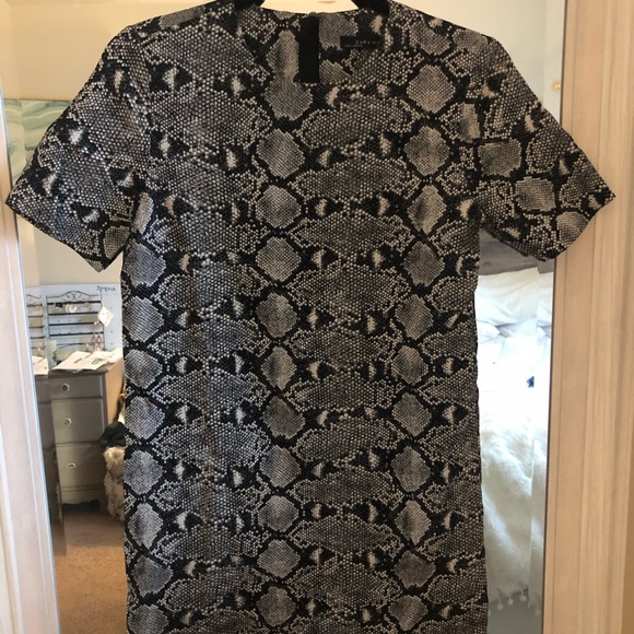 Zara | Dresses | Zara Snakeskin Shift Dress | Poshmark
